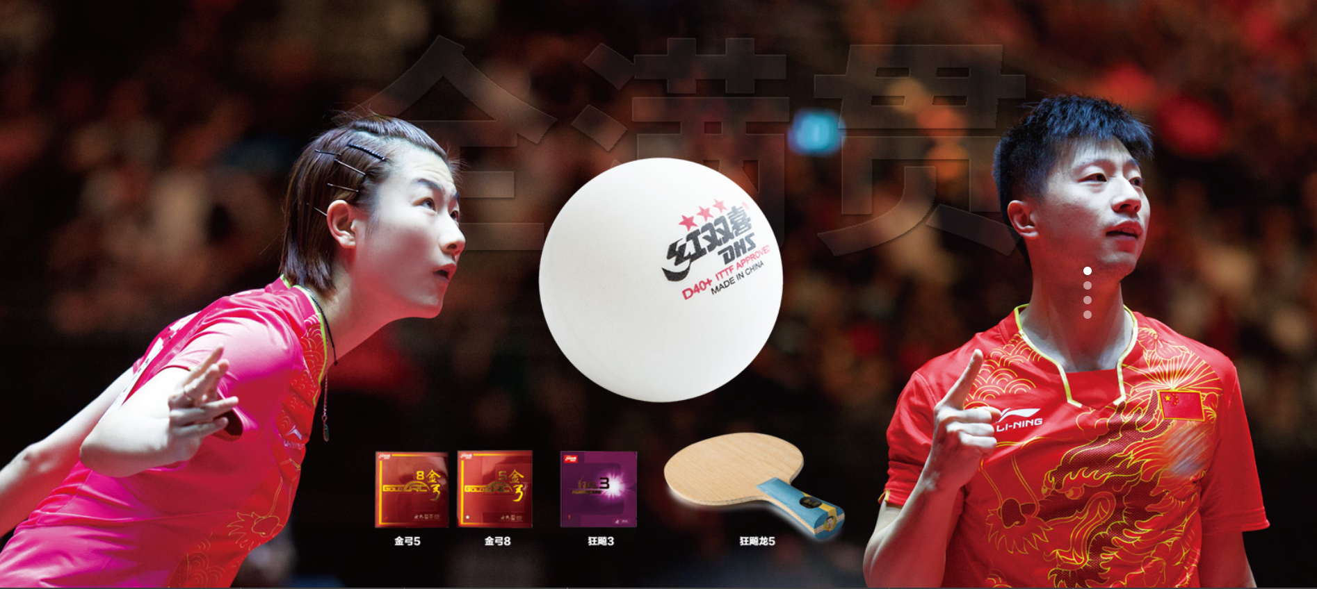 DHS Table Tennis Equipment - Official UK Distributor